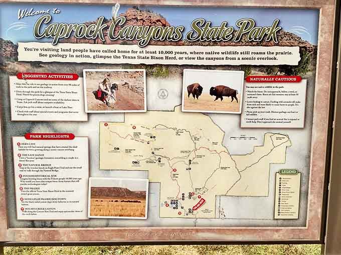 The welcome board lays out everything you need to know, like a really helpful friend with excellent penmanship.