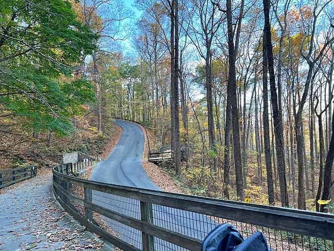 The Saunders-Monticello Trail curves through autumn like a path designed by an artist with excellent taste.
