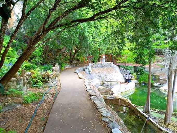 Shaded pathways wind through the gardens, offering relief from Florida's enthusiastic sunshine and endless photo opportunities.