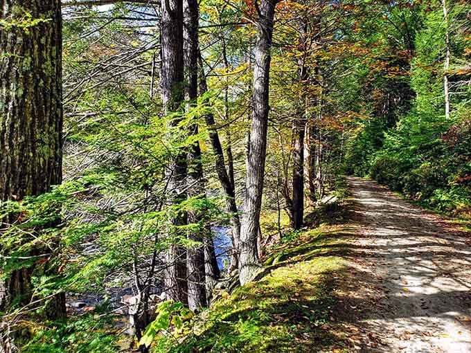 Forest trails wind alongside rivers, inviting peaceful walks where the only soundtrack needed is rustling leaves overhead.