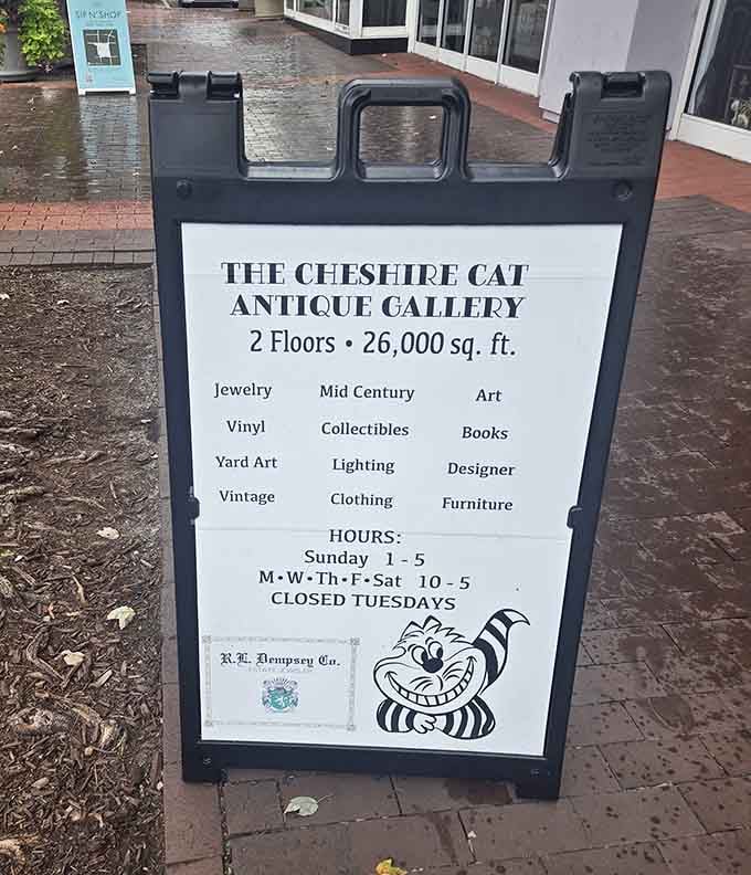 Two floors of organized chaos await, and yes, you'll need every minute of those operating hours.