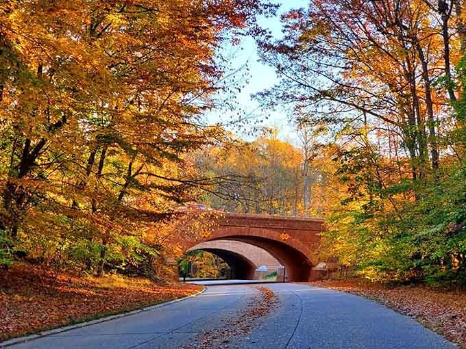 Fall foliage so vibrant it makes New England jealous, and we're not even trying that hard here.