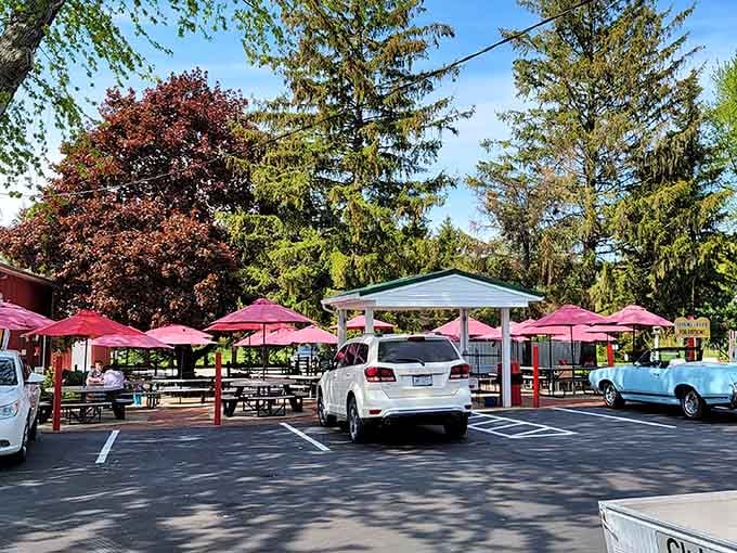 White Turkey Drive-In serves classic American fare under cheerful umbrellas where eating outside feels celebratory rather than merely convenient.