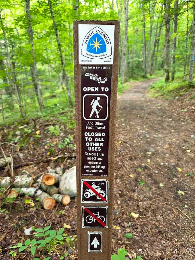 Trail signs reminding you that some places are still blissfully off-limits to motorized everything and everyone.