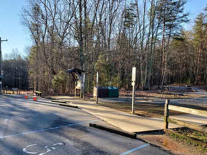 Picnic areas nestled among trees offer perfect spots for post-hike sandwiches that taste better after you've earned them.