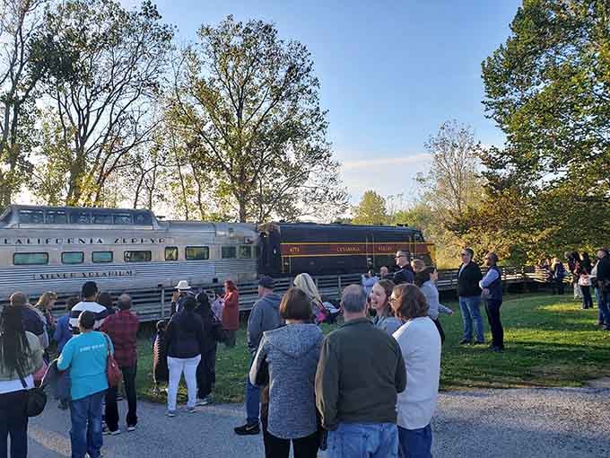 Crowds gather at the platform, anticipation building like it's opening night for a show that nature herself is directing.