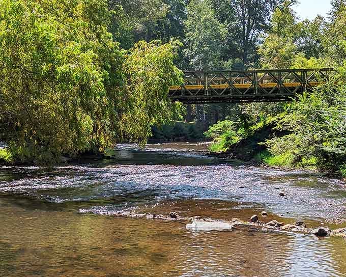 Peaceful creek waters flow under rustic bridges, perfect for contemplating life's important questions or nothing at all.
