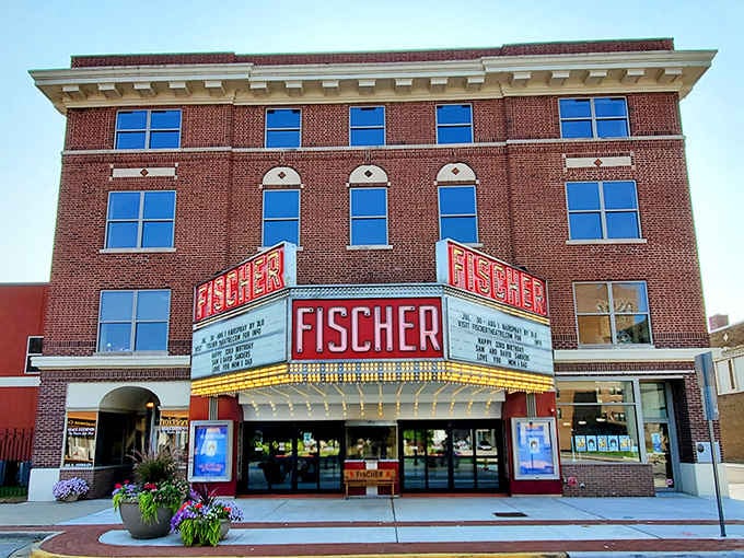 The Fischer Theatre stands as a cultural cornerstone, offering entertainment without requiring you to sell plasma for ticket money.
