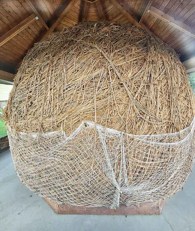 Another perspective shows how the twine's texture changes with age, creating an unexpectedly beautiful study in dedication.