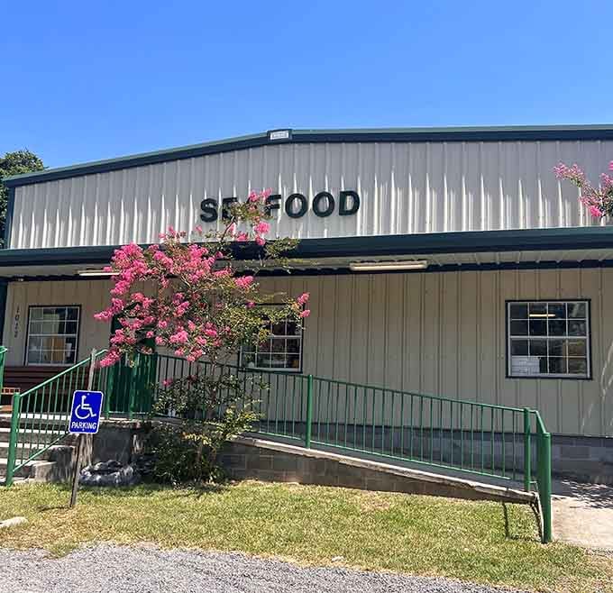 Another seafood spot, because apparently one per capita isn't enough when you're literally surrounded by the Gulf's grocery store.