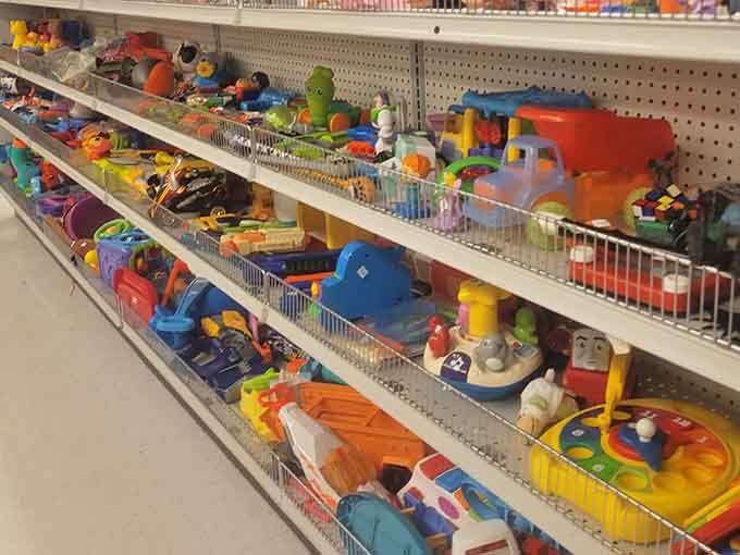 Colorful toys line the shelves like a rainbow of childhood joy at prices that won't break the bank.