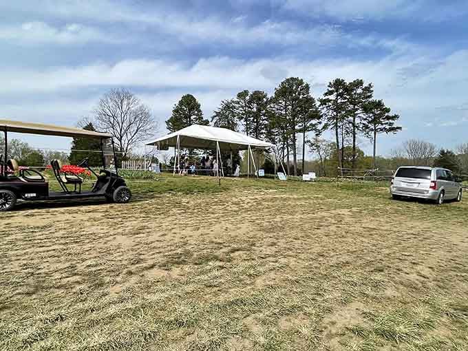 Every great adventure needs a place to park, and this one promises fields of floral glory just beyond.
