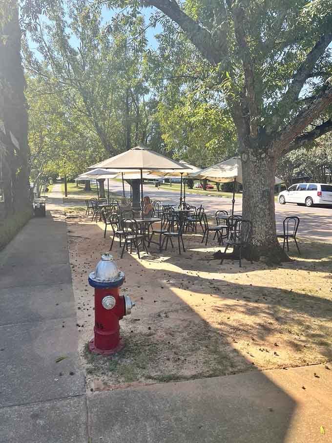 Outdoor seating under the trees offers the perfect spot for enjoying your sandwich while watching Columbia go by.