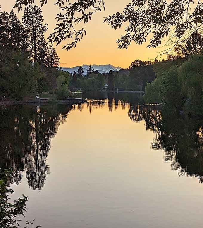 Sunset paints Mirror Pond in liquid gold, creating the kind of moment that makes you believe in magic again.