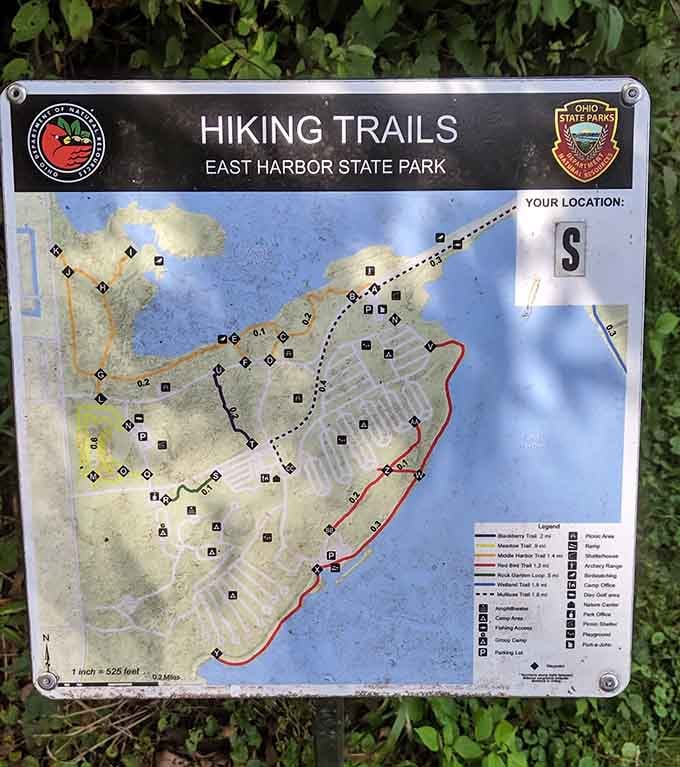 Trail maps revealing hidden paths and secret spots, your treasure map to discovering East Harbor's best-kept natural wonders.