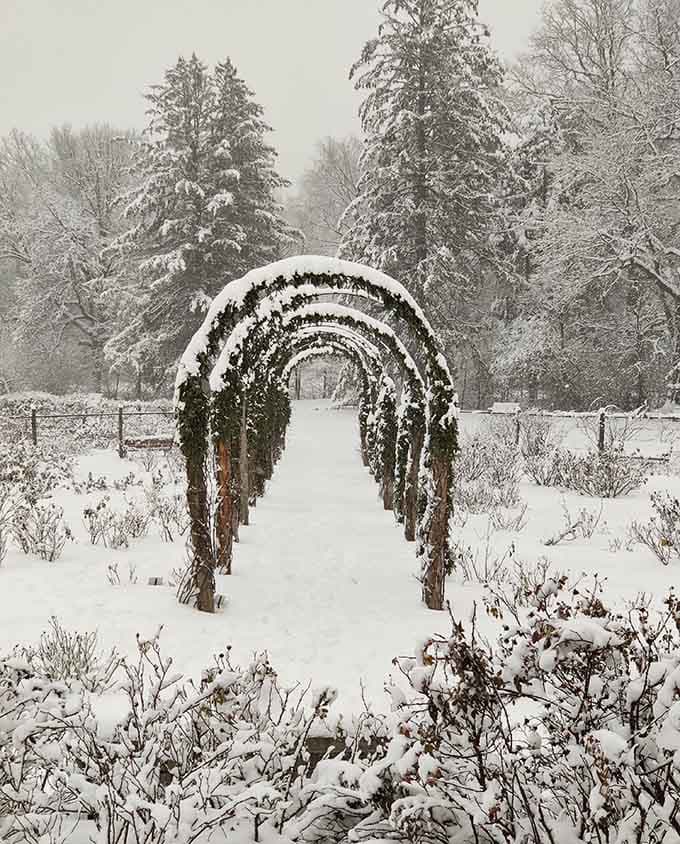 Even winter can't diminish the garden's beauty, with snow-covered arches creating a serene scene that's pure New England magic.