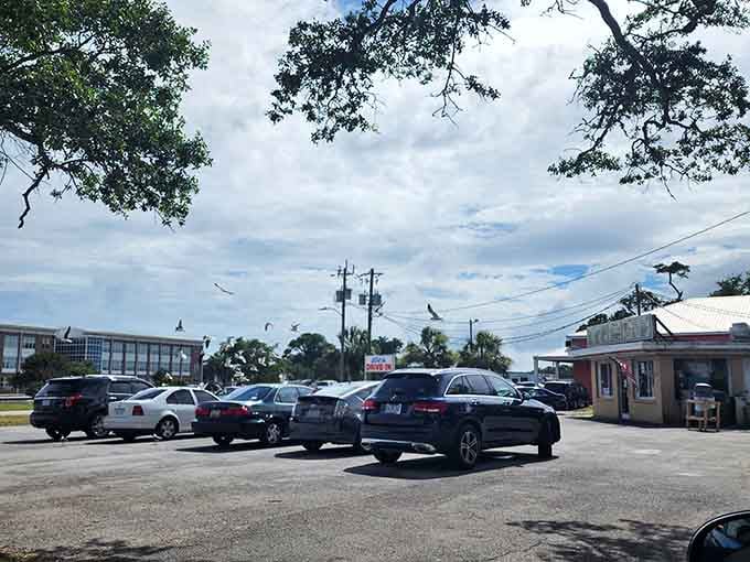 When the parking lot is this full, you know you've found where the locals eat lunch.