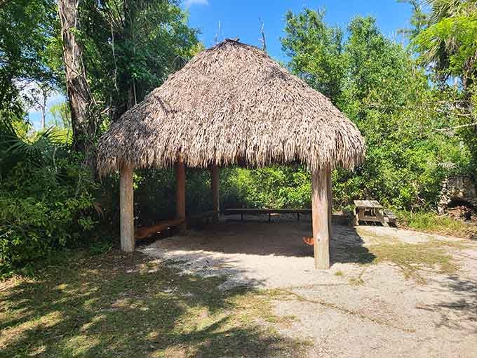 A traditional chickee hut providing shade in the Florida heat, proving our ancestors knew a thing or two.