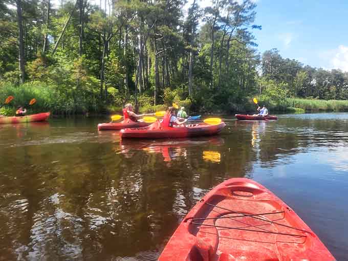 Kayaking through calm waters with friends beats scrolling through social media feeds by approximately one million percent, give or take.