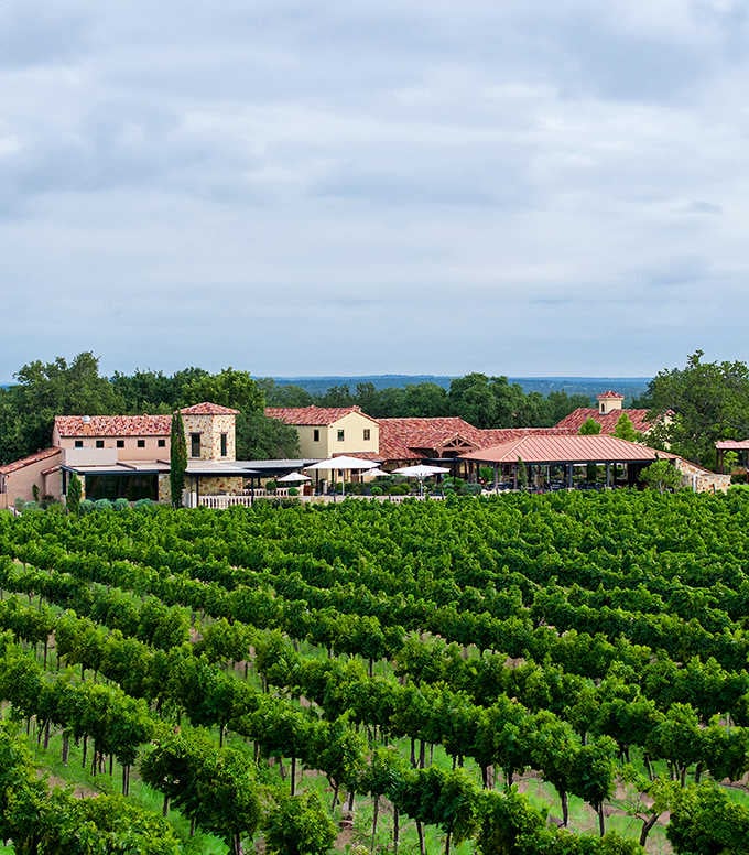 Rows of grapevines stretch toward a Tuscan-style villa, creating views that belong on a European postcard.