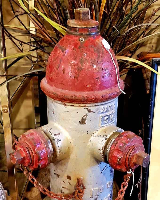 Even retired fire hydrants deserve a second act, and this weathered sentinel has found its perfect encore.