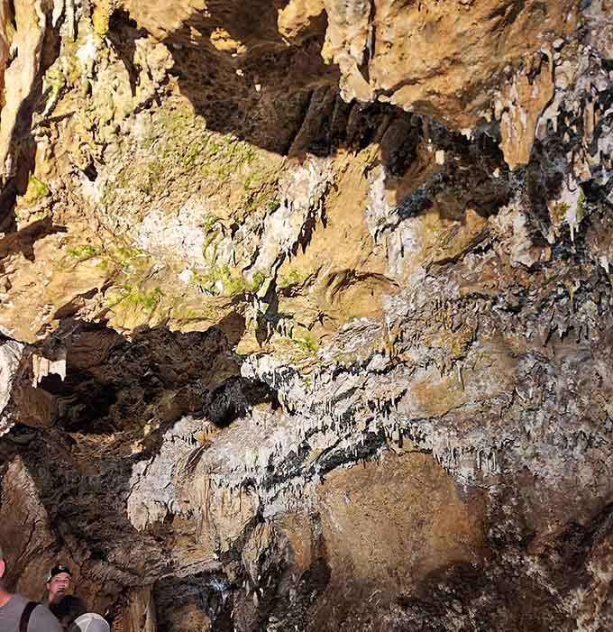 Up close, the cave's delicate formations reveal intricate details that make you understand why touching them is absolutely forbidden.