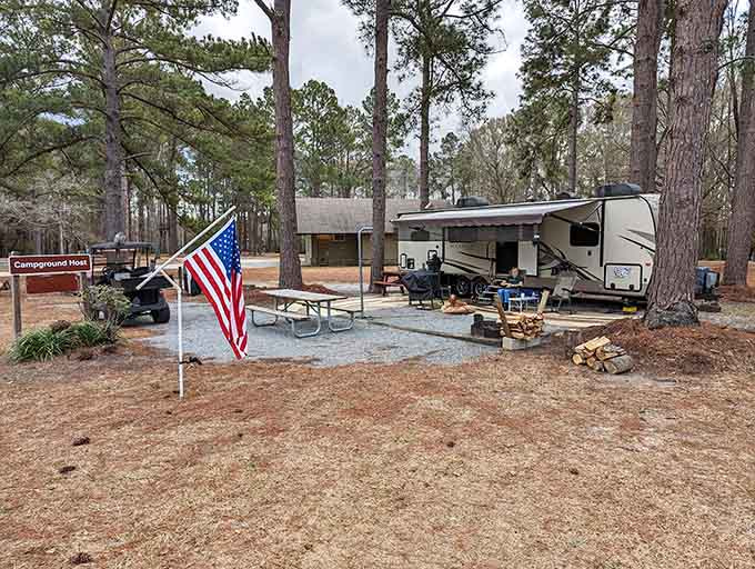 RV camping here means waking up surrounded by towering pines and the sounds of birds instead of traffic and car alarms.