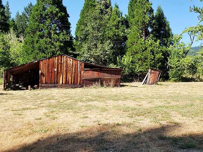 Summer sunshine bathes the settlement in golden light, making the past feel surprisingly warm and welcoming.
