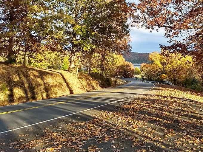 Scenic drives through fall foliage remind you that sometimes the journey really is better than scrolling through your phone.