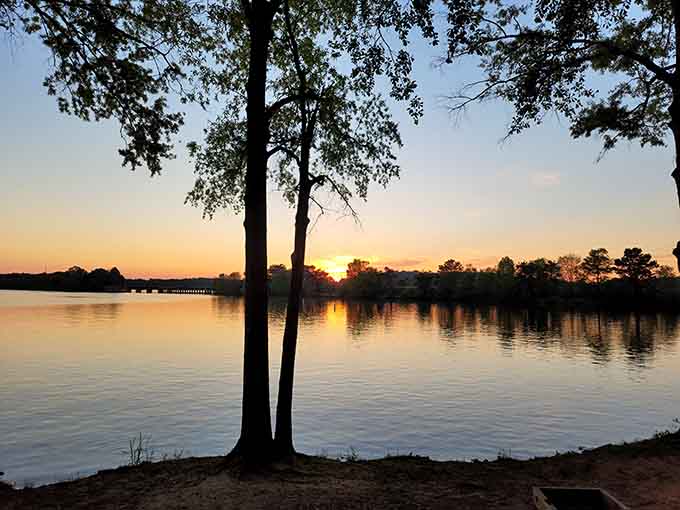 Golden hour over the lake creates the kind of natural beauty that makes professional photographers weep with joy and envy.
