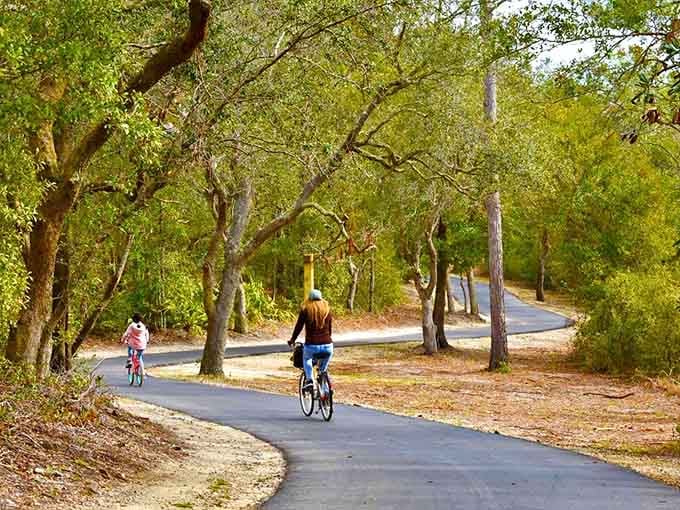 Tree-canopied paths wind through forests, offering cyclists shade and scenery in equal, generous measures.