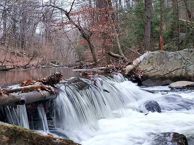 This waterfall proves that New Jersey can do dramatic natural beauty without needing a Hollywood special effects budget whatsoever.