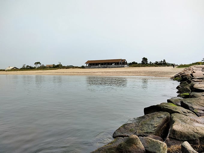 That pavilion has witnessed more family reunions, first dates, and questionable potluck dishes than anyone can count.