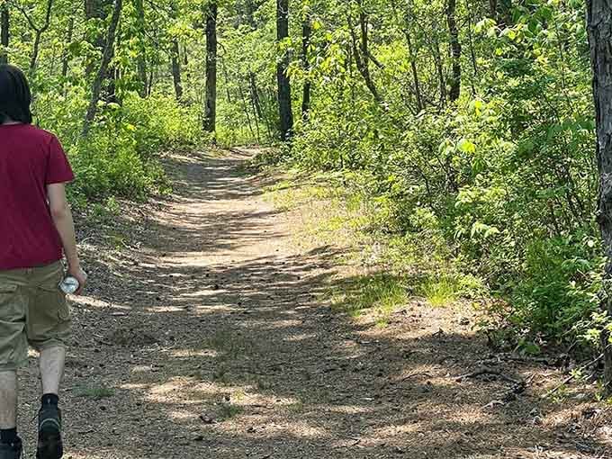 Shaded trails invite exploration without requiring mountaineering skills, just a willingness to wander and discover what's around the bend.