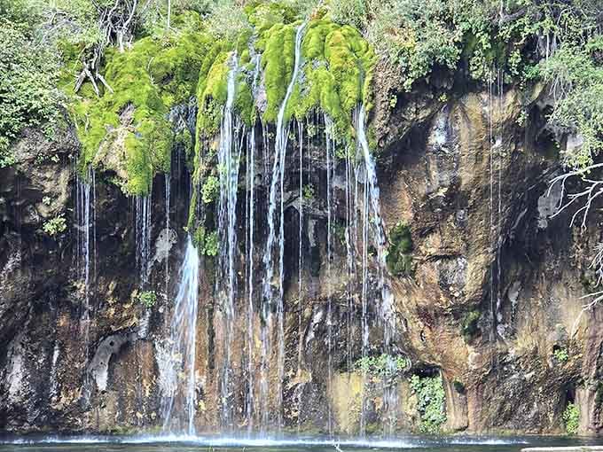 Water streams down moss-covered rock in delicate ribbons that shimmer in the sunlight perfectly.