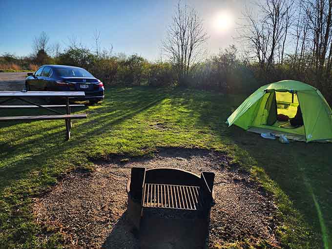 Camping near the park lets you extend your adventure beyond daylight hours, maximizing your nature time.