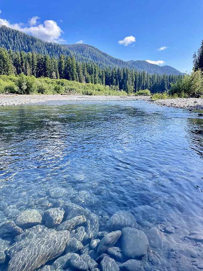 Water so clear you can count the river rocks, which is oddly satisfying in a way you didn't know you needed.