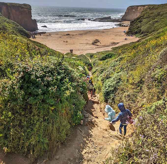 The trail down might test your legs, but that view waiting below makes every step absolutely worthwhile.
