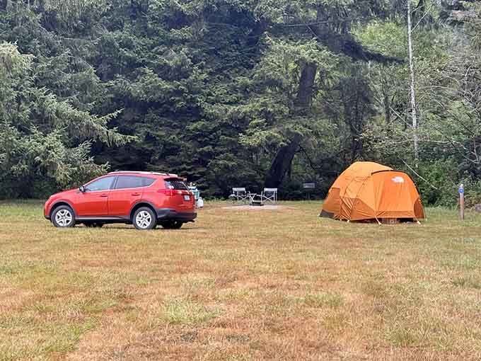 Tent camping options prove you don't need a fancy RV to enjoy this coastal paradise properly.