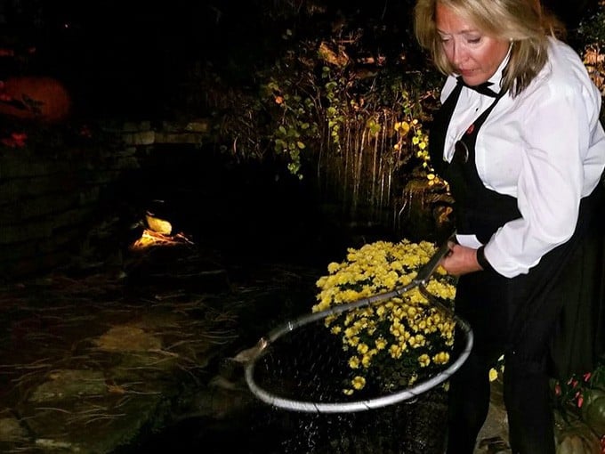 Staff who understand that great service means anticipating needs without hovering like an overprotective helicopter parent.