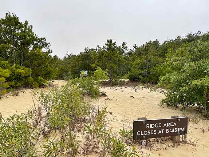 The ridge closes at dusk, giving the sand time to rest before tomorrow's parade of adventurers arrives again.