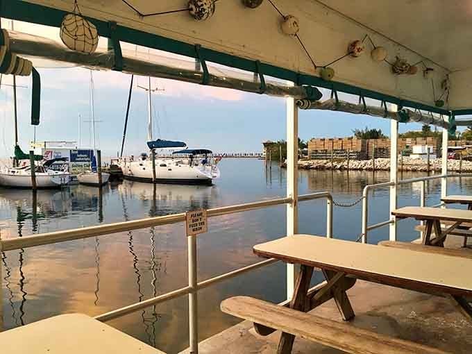 Waterfront picnic tables offer front-row seats to boat traffic and sunset views that rival anything on your dinner plate.