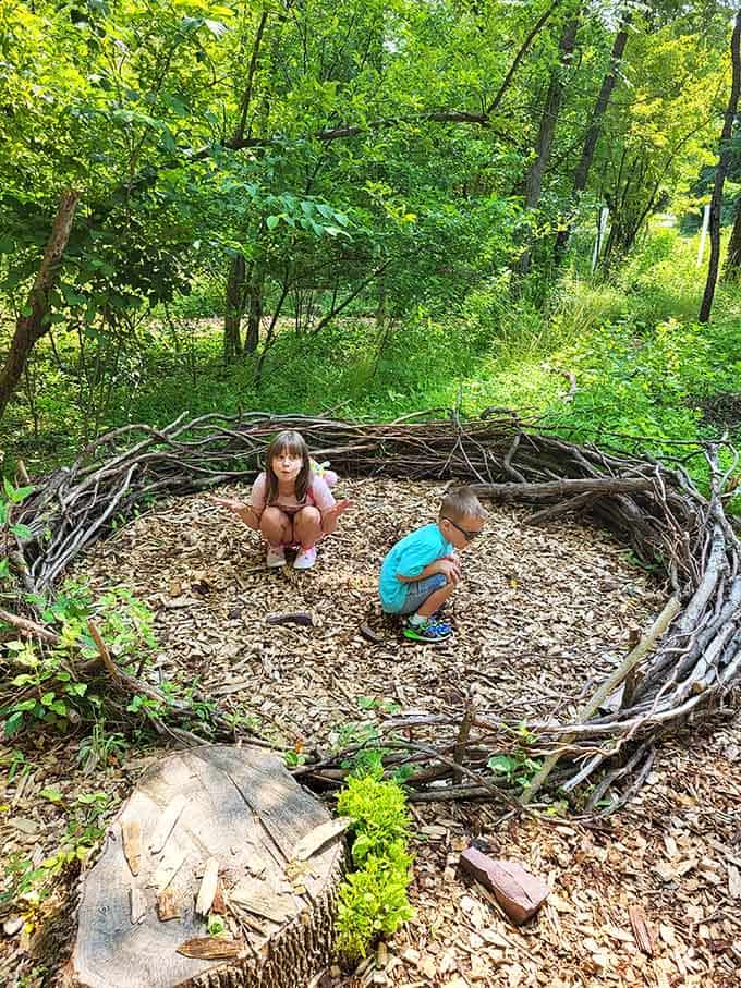 Nature's playground meets human creativity in this oversized nest that sparks endless imaginative bird adventures.