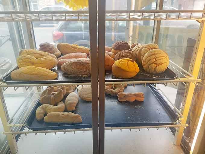Fresh Mexican pastries tempt you from the display case, offering sweet endings to your savory taco adventures.