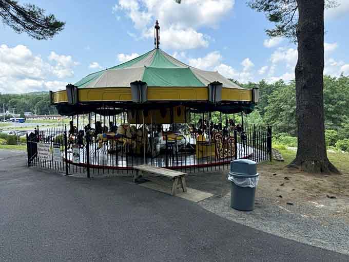 This classic carousel spins timeless memories, offering the kind of gentle nostalgia that never goes out of style.