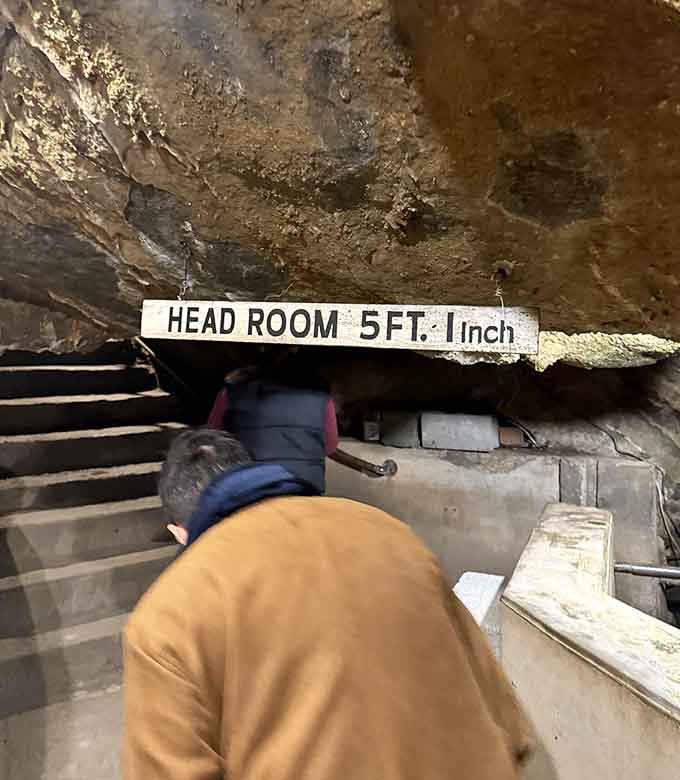 Mind your head in the lower passages where earth and stone remind you you're truly in nature's domain.