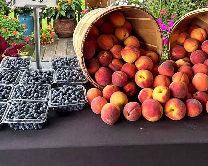 Fresh peaches and blueberries arranged like edible jewels, reminding us that local produce beats supermarket offerings every single time.