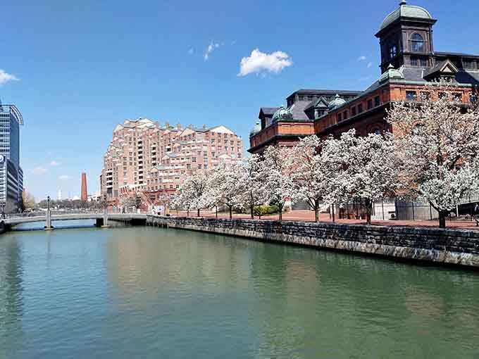 Spring blooms along the waterfront that Instagram filters could never improve upon anyway.