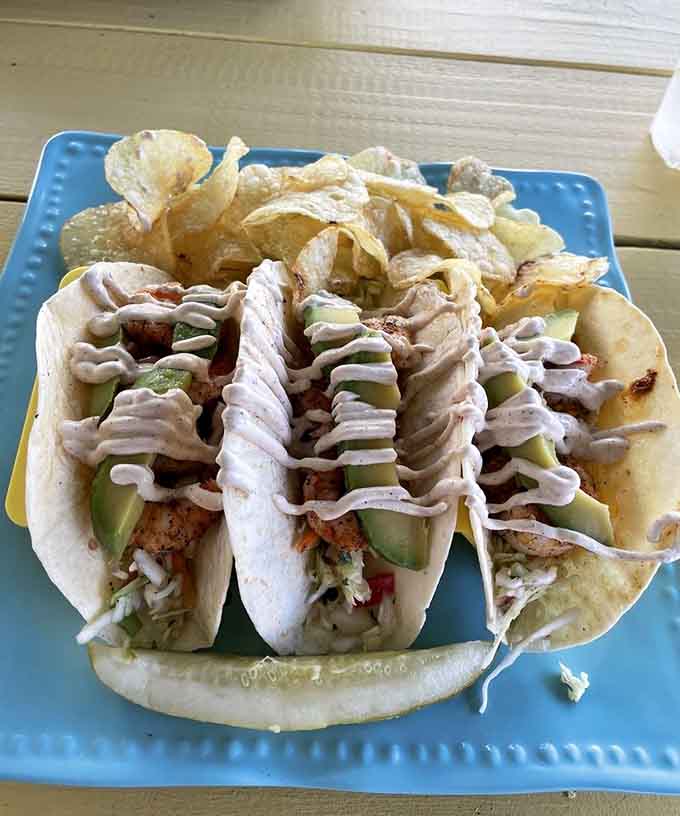 Soft tacos loaded with seasoned shrimp and crispy chips, casual dining elevated to an art form on blue plastic.