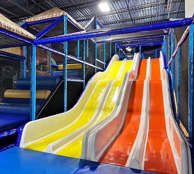Slides so bright and inviting, you'll need a solid excuse for why adults can't use them.